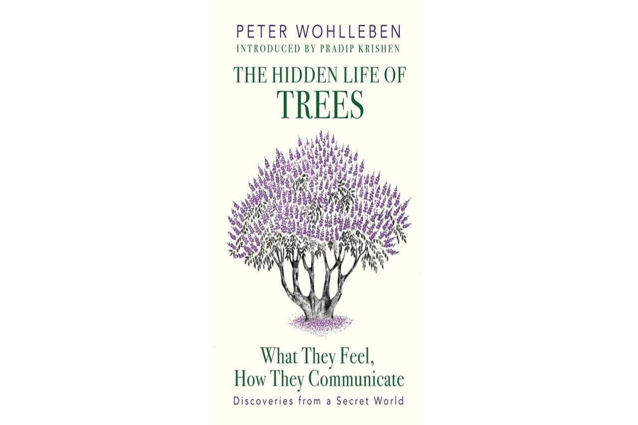 The Hidden Life of Trees - वनारंभ