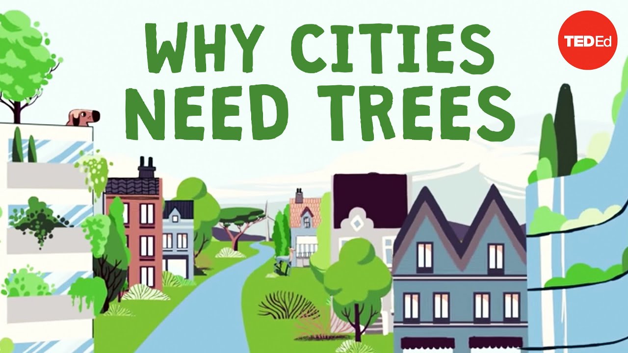 Why Cities Need Trees वन र भ