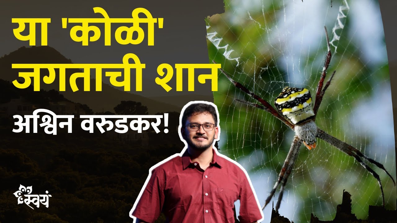 India’s Spider Man Who Studied Spiders - वनारंभ